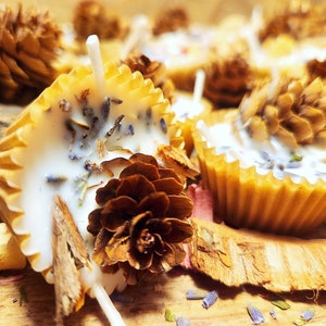 Natural Fire Starters/lavender & Cedarwood/campfire Starters/wood ...