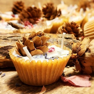 Natural Fire Starters/lavender & Cedarwood/campfire Starters/wood ...