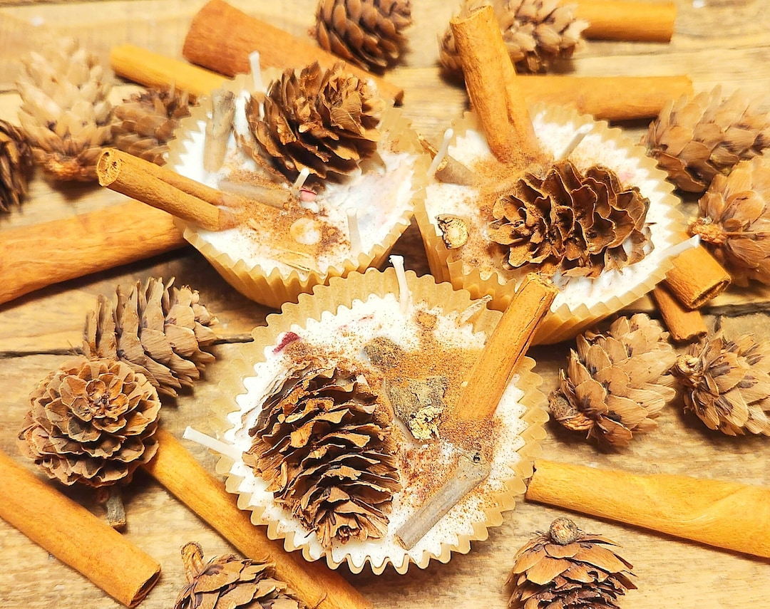 Natural Fire Starters/cinnamon Woods/campfire Starters/cinnamon Sticks ...