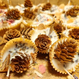 Natural Fire Starters/lavender & Cedarwood/campfire Starters/wood ...