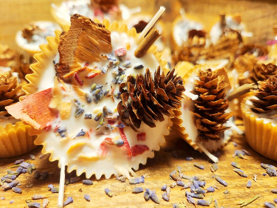 Natural Fire Starters/lavender & Cedarwood/campfire Starters/wood ...