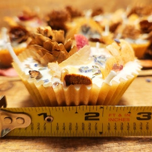 Natural Fire Starters/lavender & Cedarwood/campfire Starters/wood ...