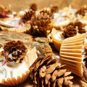 Natural Fire Starters/lavender & Cedarwood/campfire Starters/wood ...