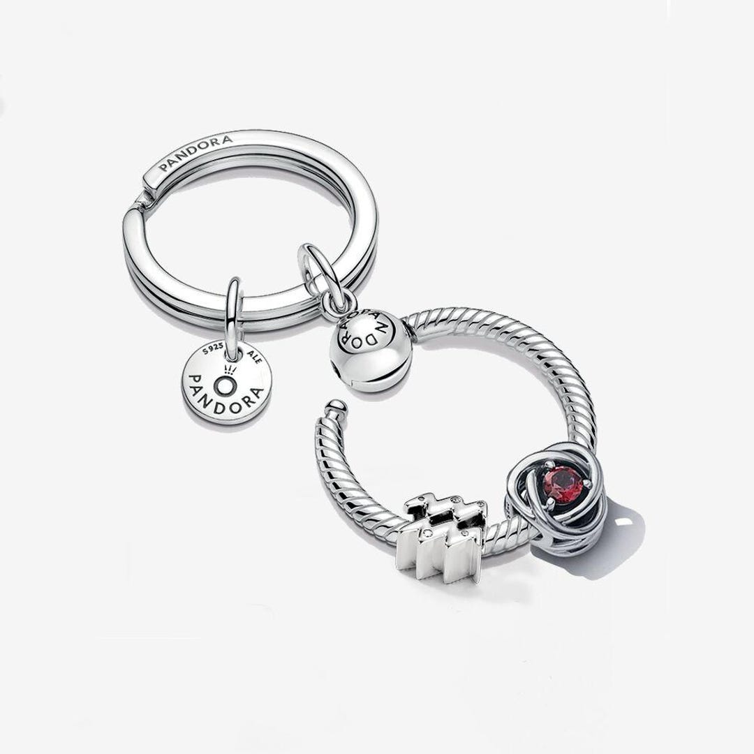 Pandora Aquarius Zodiac Charm & January Birthstone Charm Key Ring Set ...