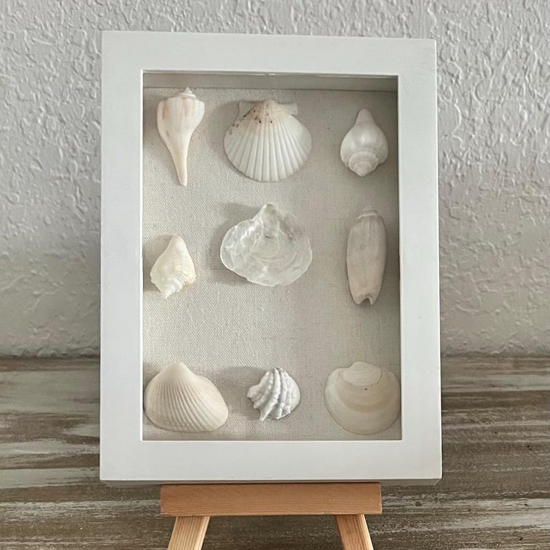 Seashell Shadow Box - Etsy