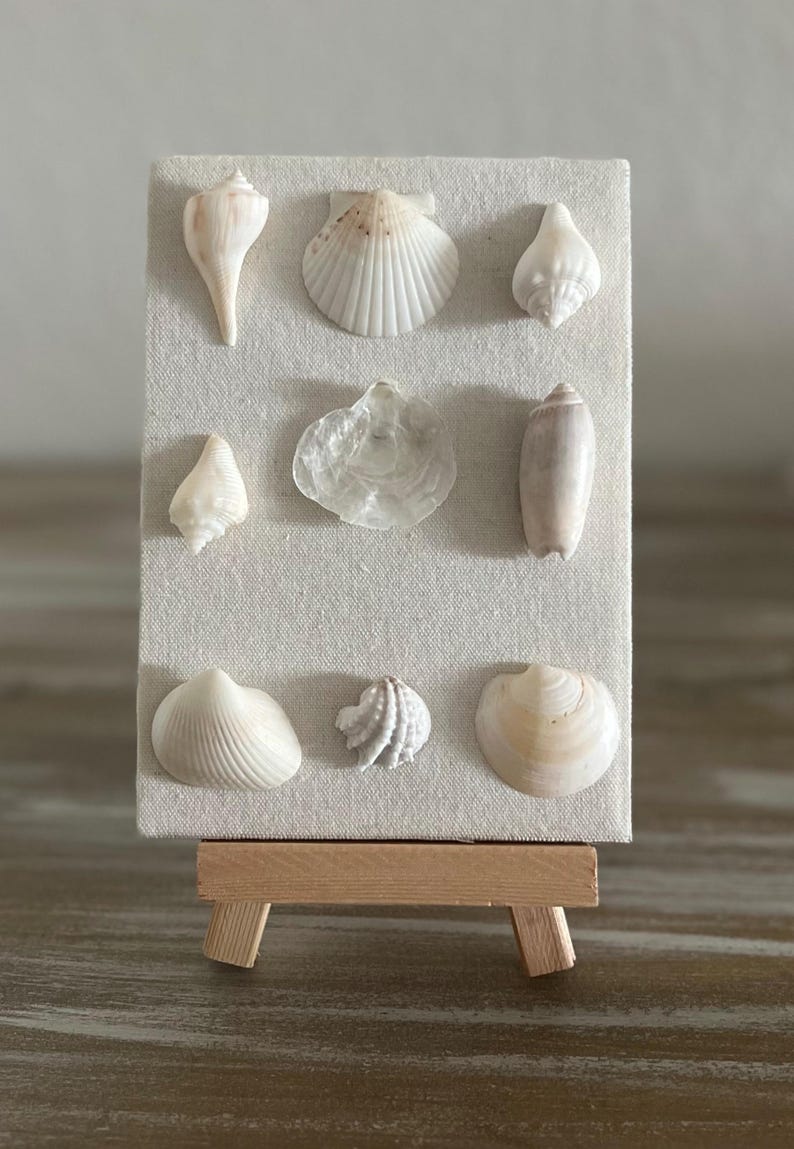Coastal Shell Shadow Box 5x7 | Neutral Beach Decor | Genuine Coastal ...
