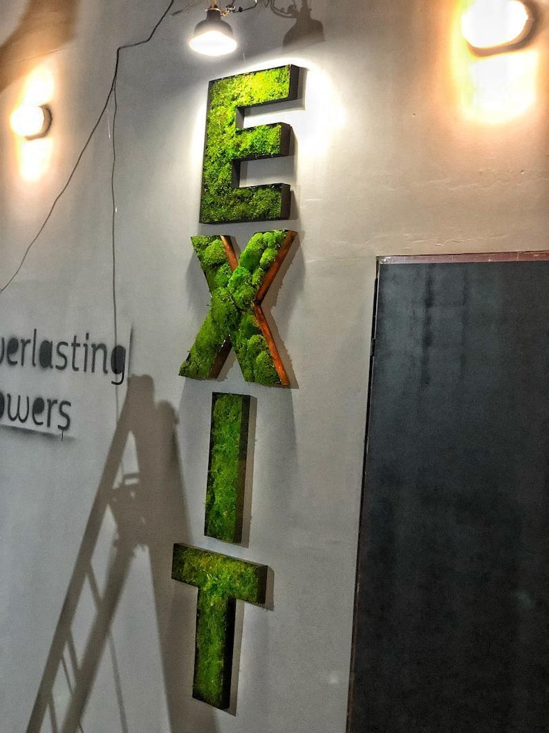 Moss Wall Art Sign, Custom Moss Wall, Moss Name Sign, Custom Moss ...