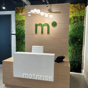 Custom Moss Wall Sign With LED Backlight – Personalized Business Logo ...