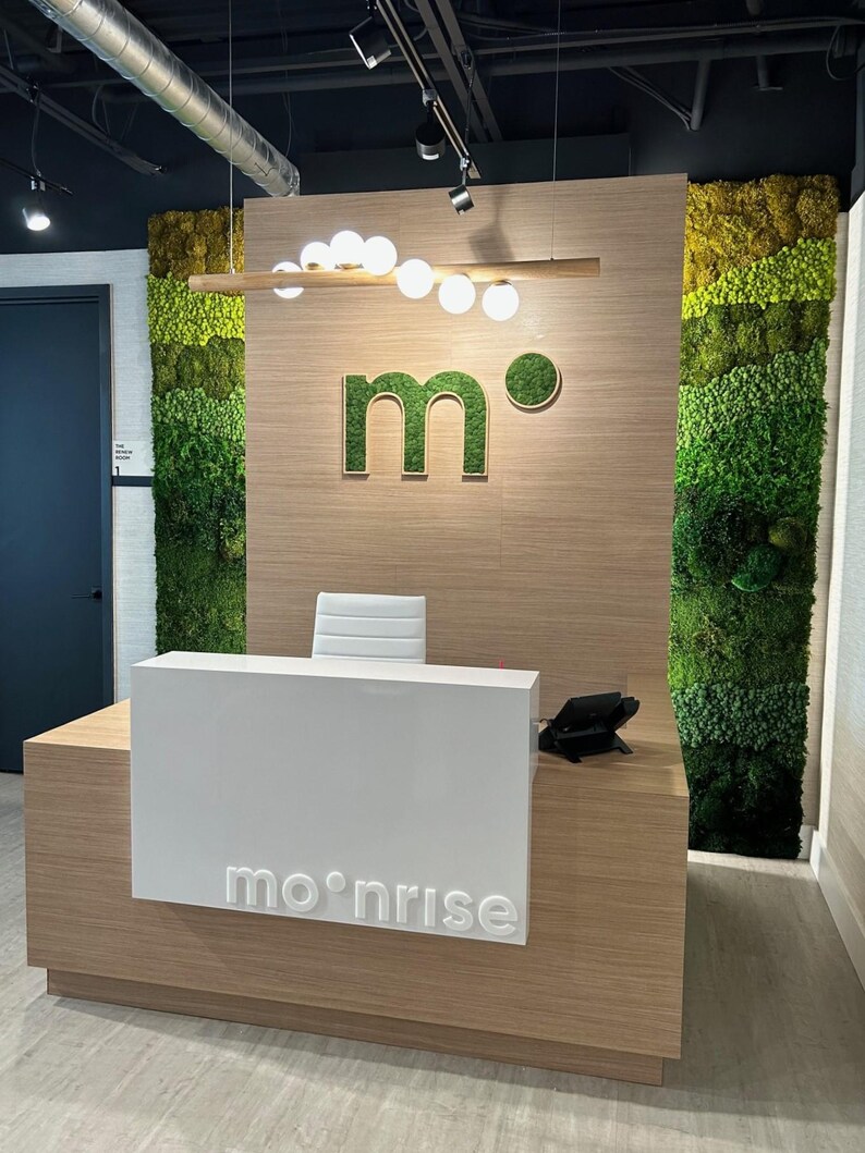Moss Wall Art Sign, Custom Moss Wall, Moss Name Sign, Custom Moss ...