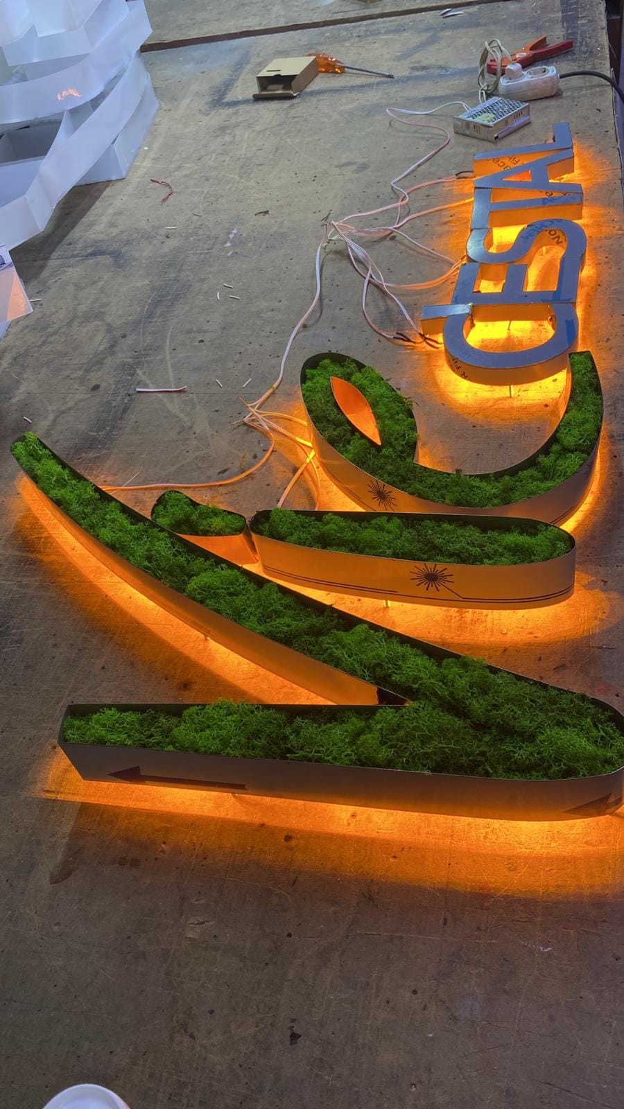 Moss Wall Art Sign, Custom Moss Wall, Moss Name Sign, Custom Moss ...