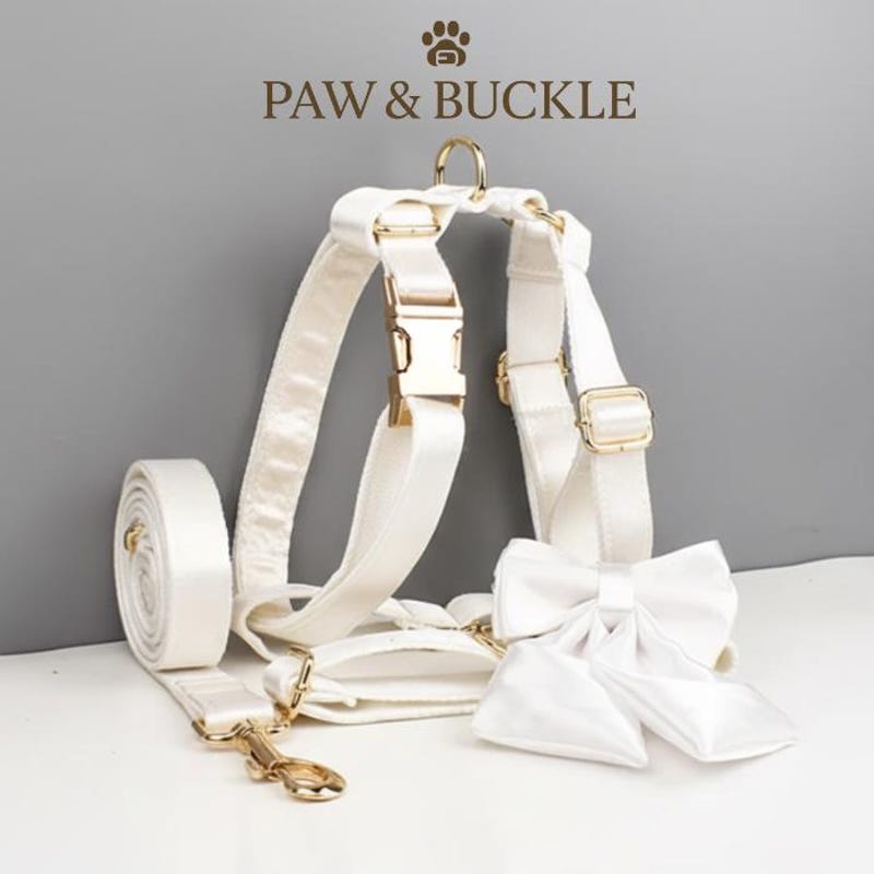 Wedding Dog Harness - Etsy