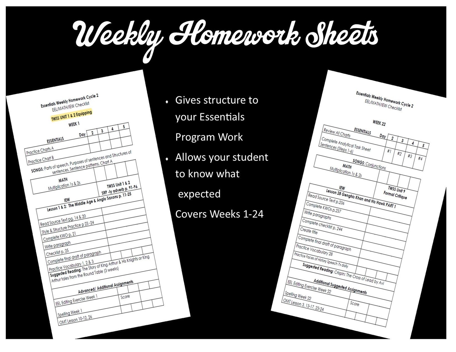 Classical Conversations Essentials Cycle 2 Homework Packet - Etsy