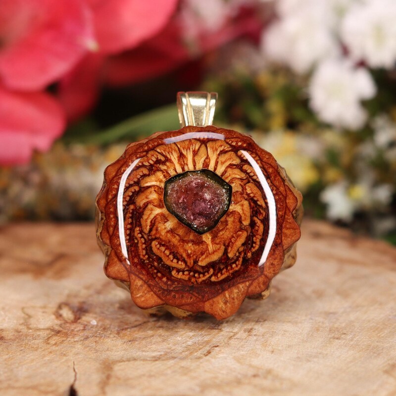 ThirdEyePineCones - Etsy