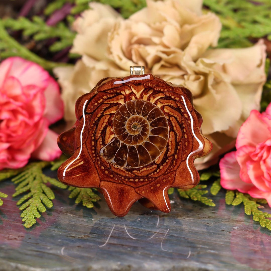 Pinecone Pendant With Ammonite (medium) by Third Eye Pinecone - Etsy