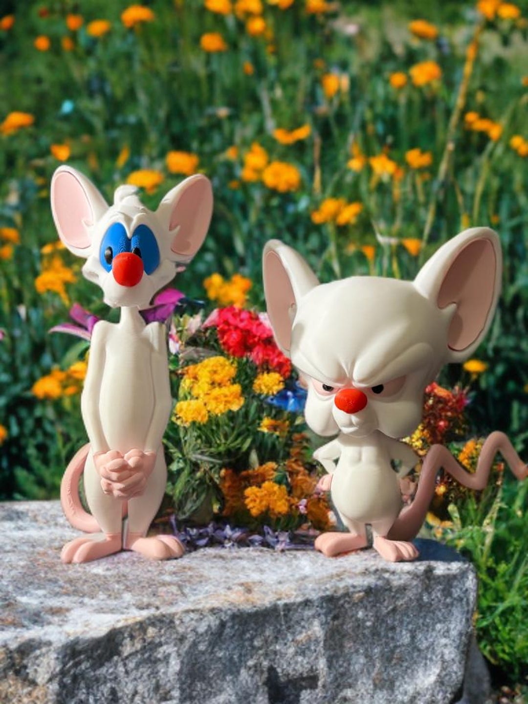 3D Printed Pinky and the Brain Bundle - Etsy
