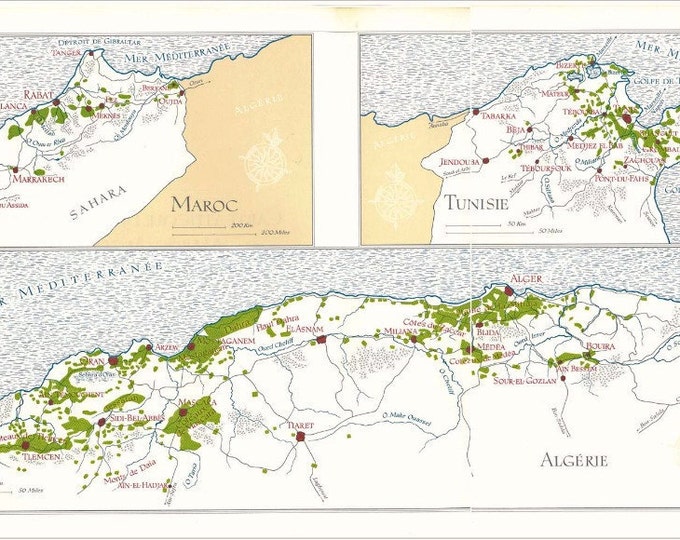 Vintage Wine Map of North Africa Algeria Morocco and - Etsy