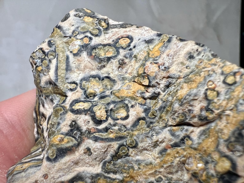 Ruwe Orbiculair Jaspis Met Unieke 'oog' Patronen – Natuurlijke Ocean ...