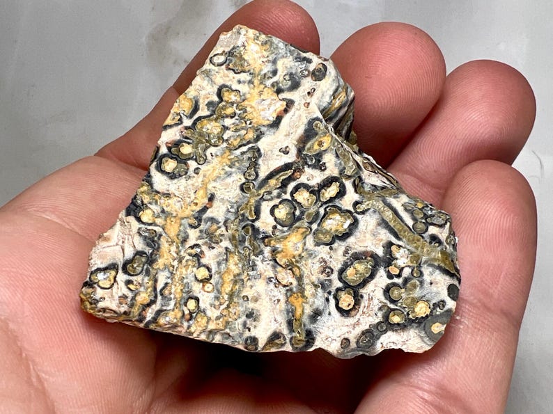 Ruwe Orbiculair Jaspis Met Unieke 'oog' Patronen – Natuurlijke Ocean ...