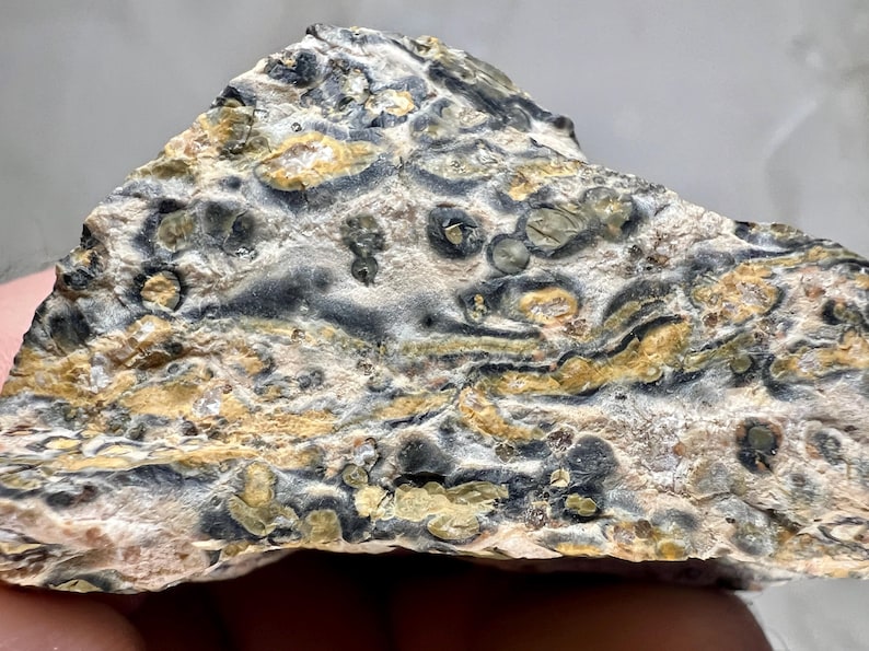 Ruwe Orbiculair Jaspis Met Unieke 'oog' Patronen – Natuurlijke Ocean ...