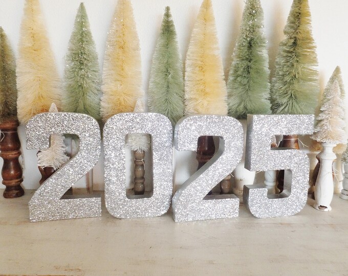 2025 Silver Glitter ~ GRADUATION / PROM Photo Prop ~ 8 Inch Tall ...