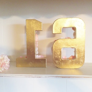 8 Inch Tall Pink Flower Sweet 16: Birthday Number OR Two Numbers of ...