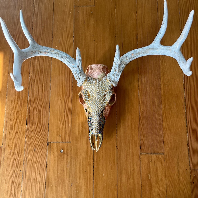 Taxidermied Bedazzled - Etsy