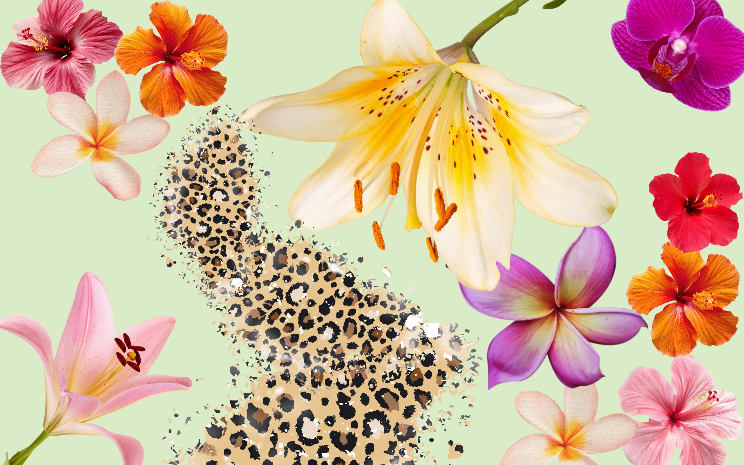 Hibiscus, Leopard Print Y2K Desktop Background for Laptops - HD ...