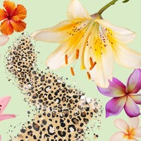 Hibiscus, Leopard Print Y2K Desktop Background for Laptops - HD ...