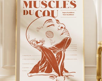Terracotta Anatomical Poster – Neck Muscles | Artistic Illustration ...