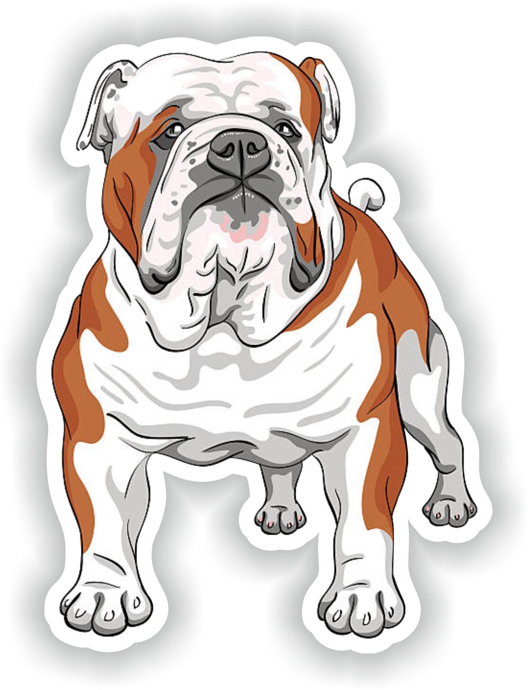 English Bulldog Sticker for Bumper Car Van Truck Motorcycle Helmet ...