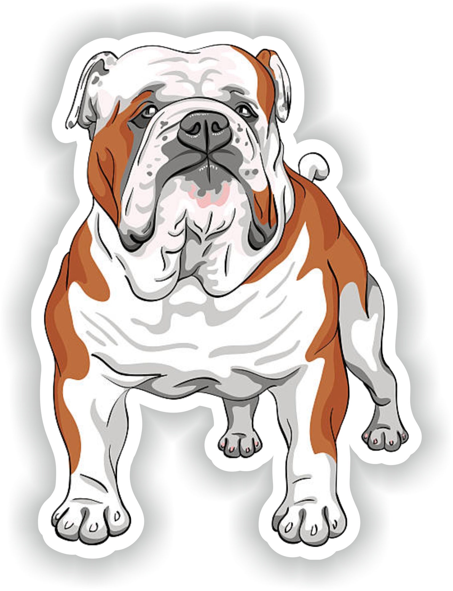 English Bulldog Sticker for Bumper Car Van Truck Motorcycle | Etsy