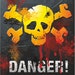 Danger Warning Sticker for Laptop Book Fridge Guitar Motorcycle Helmet ...