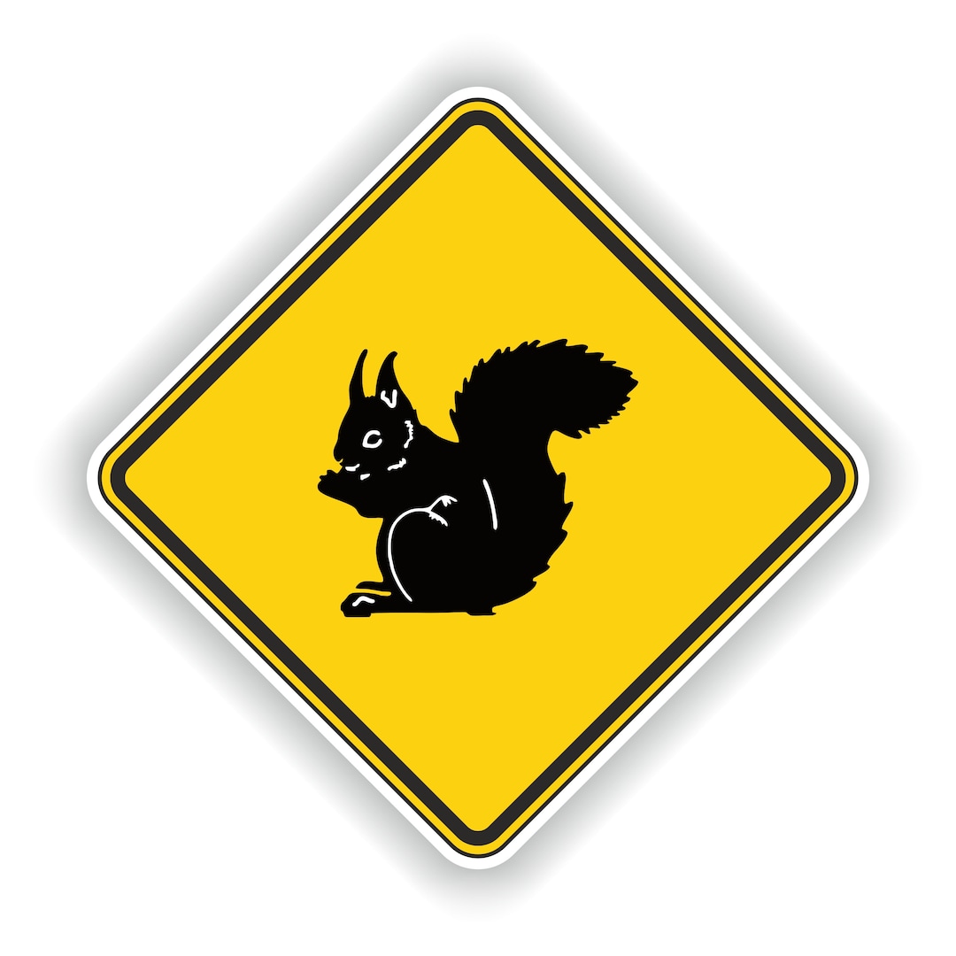 Squirrel Warning Sticker for Bumper Car Laptop Book Fridge Guitar ...