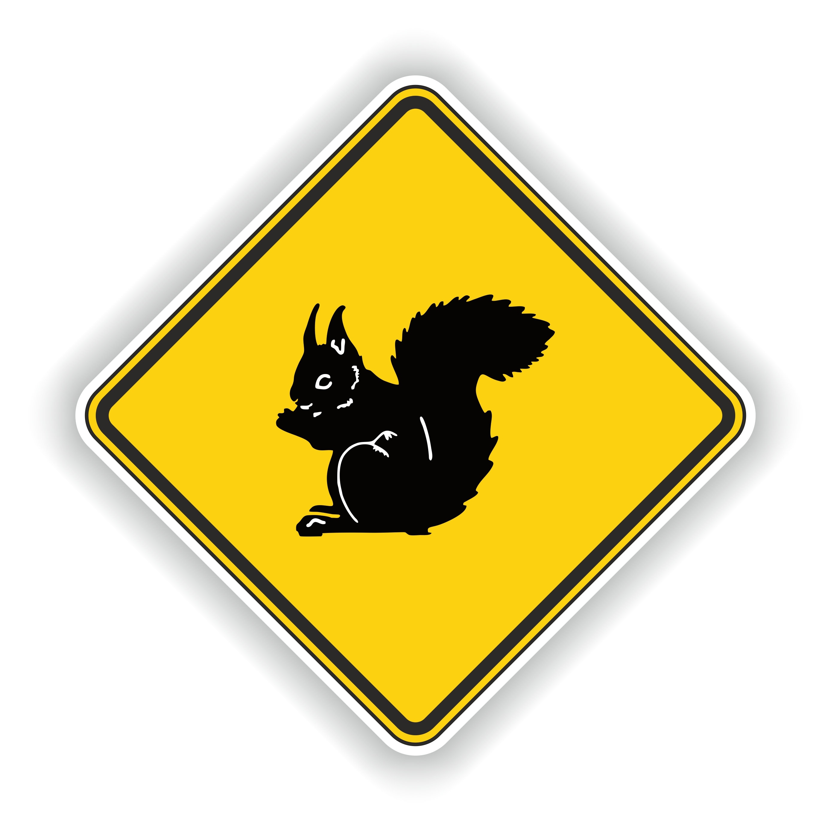 Squirrel Warning Sticker for Bumper Car Laptop Book Fridge Guitar ...
