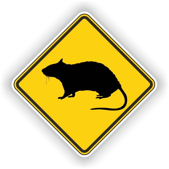 Rat Warning Sticker for Bumper Car Laptop Book Fridge Guitar | Etsy