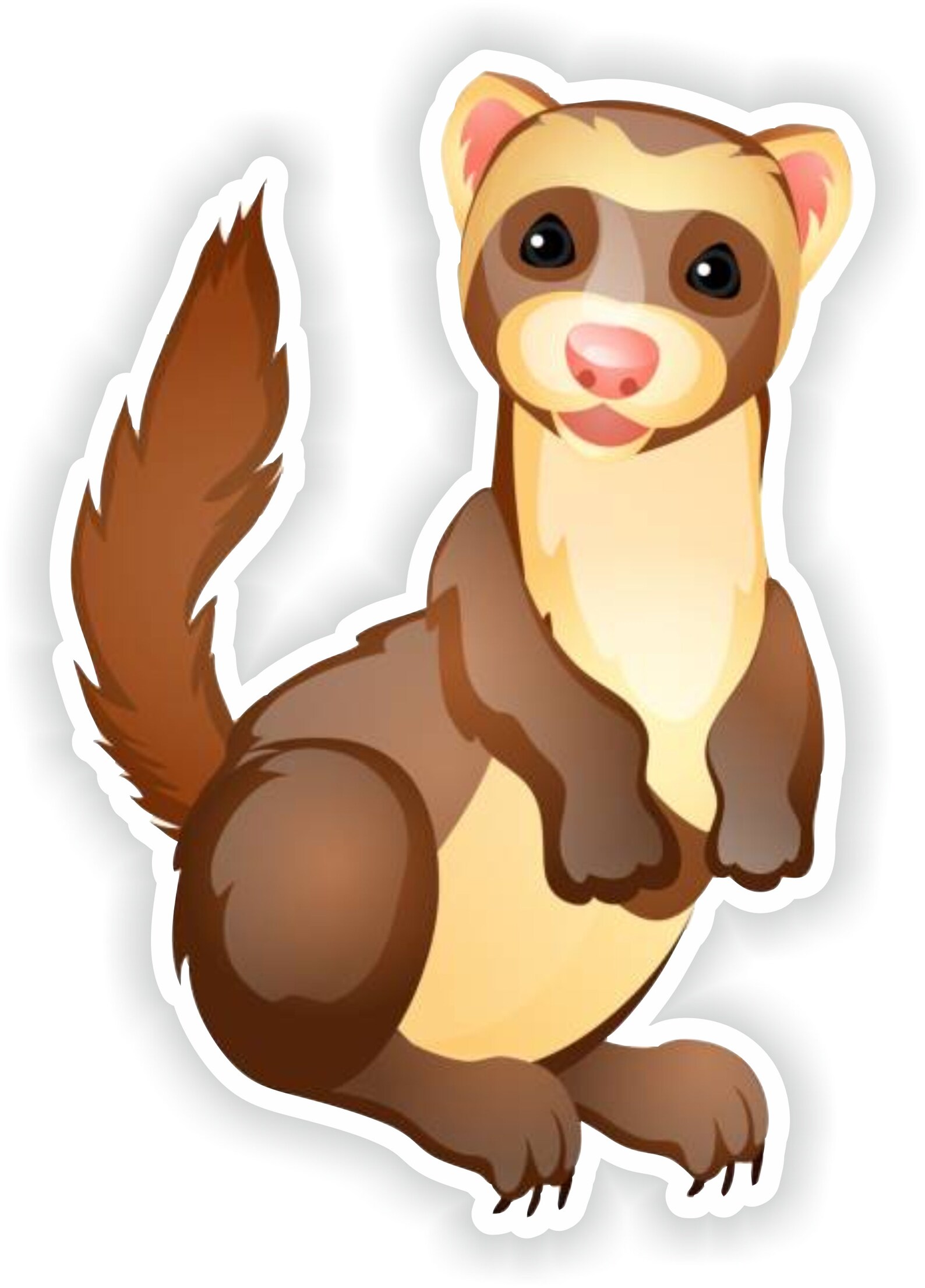 Ferret Smiling Funny Sticker for Bumper Car Van Truck Motorcycle Helmet ...
