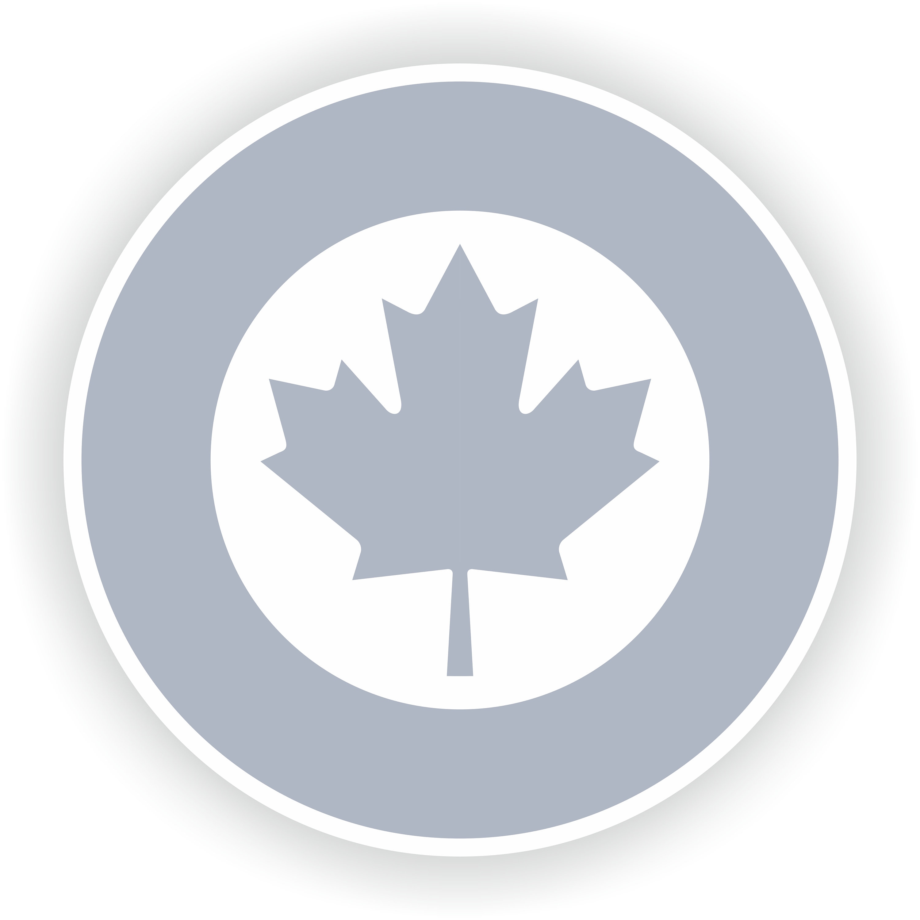 Canada RCAF Low Visibility Roundel Military Sticker for Laptop Book ...
