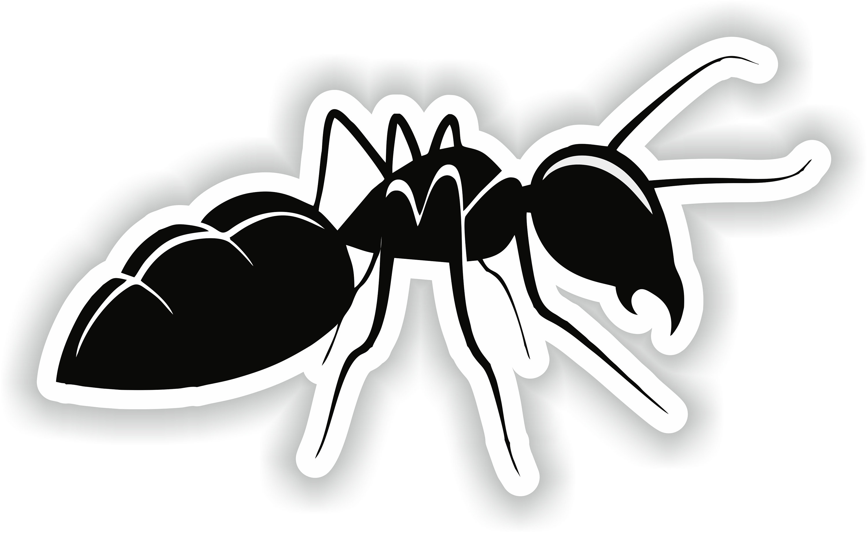 Ant Sticker for Laptop Book Fridge Guitar Motorcycle Helmet Toolbox ...