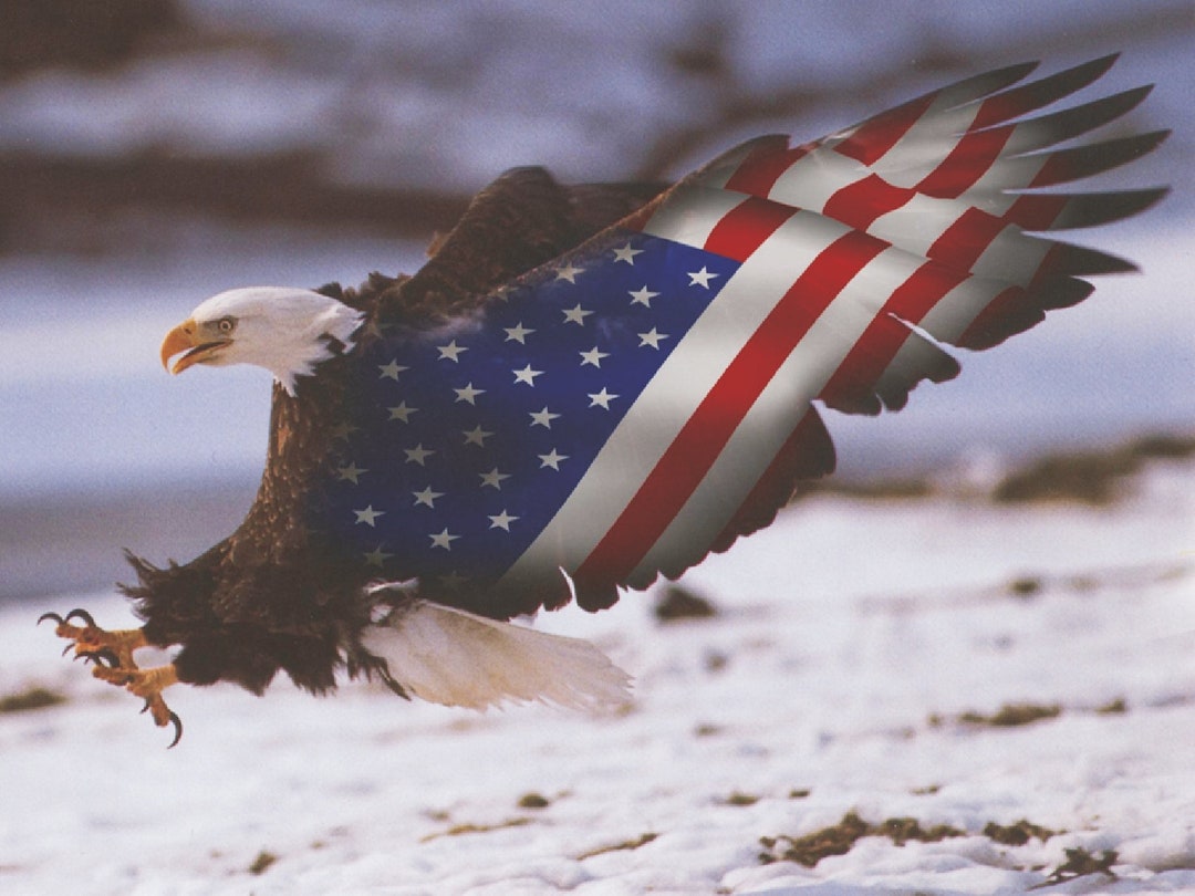 USA Eagle Flag #20 Sticker for Bumper Car Van Truck Motorcycle Helmet ...