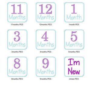 Monthly Onesie Applique Machine Embroidery Designs - Newborn Through 12 ...
