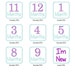 Monthly Onesie Applique Machine Embroidery Designs - Newborn Through 12 ...