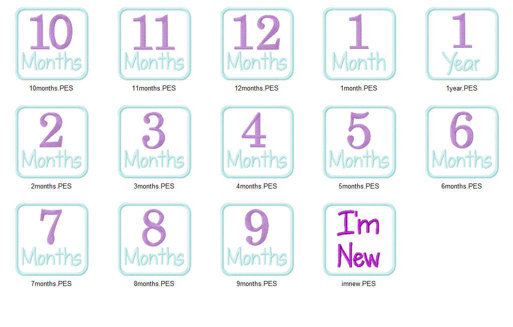 Monthly Onesie Applique Machine Embroidery Designs - Newborn Through 12 ...