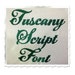 Tuscany Script Machine Embroidery Font Monogram Alphabet 3 Sizes - Etsy
