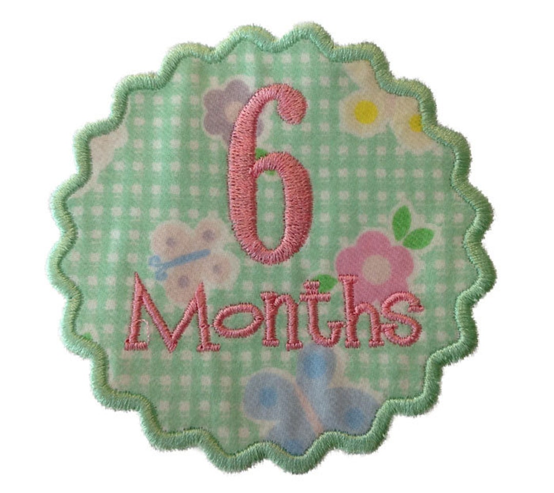 Monthly Onesie Applique Machine Embroidery Designs - Newborn Through 12 ...