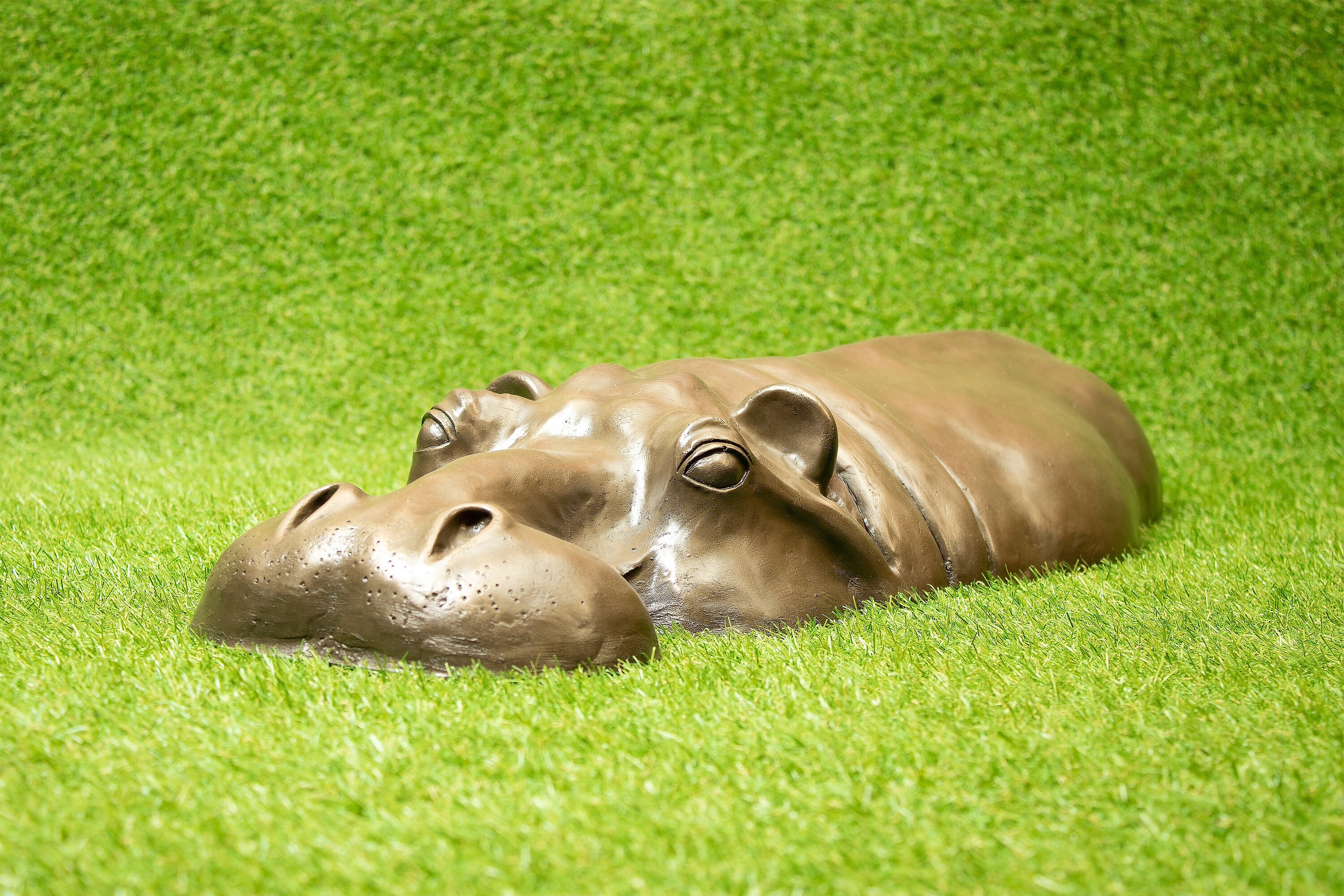 Gloria The Hippo Lying Down