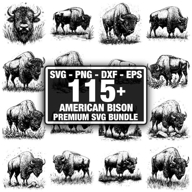 115+ American Bison Bundle, Bison Designs, Instant Download Png, Dxf ...