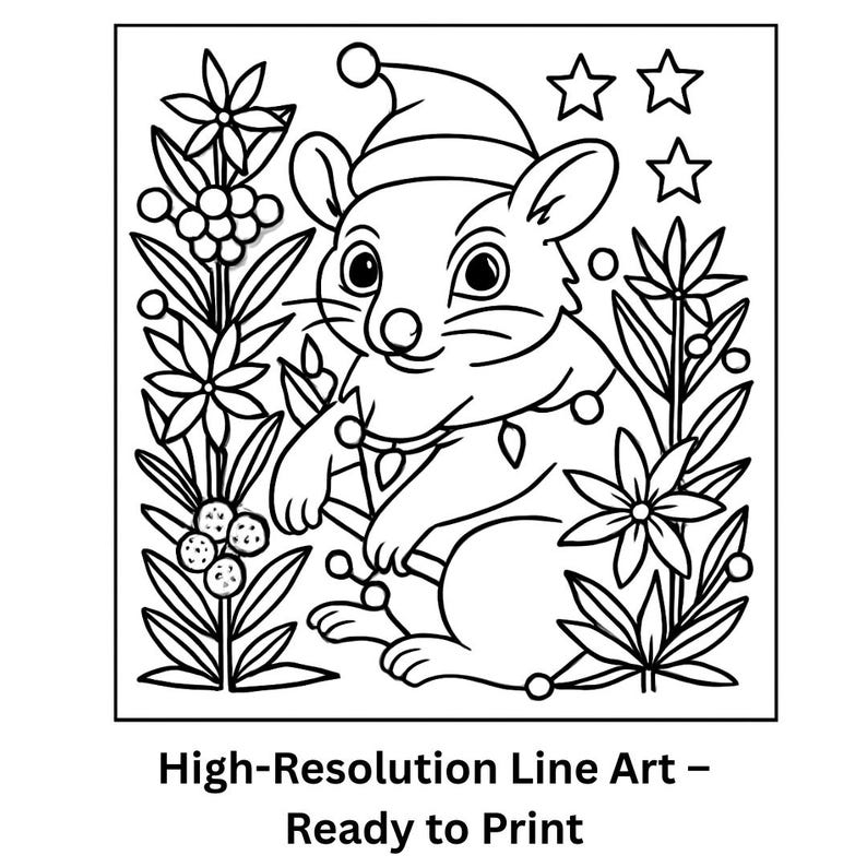 Aussie Christmas Colouring Pages – Galah, Kookaburra, Possum (instant ...