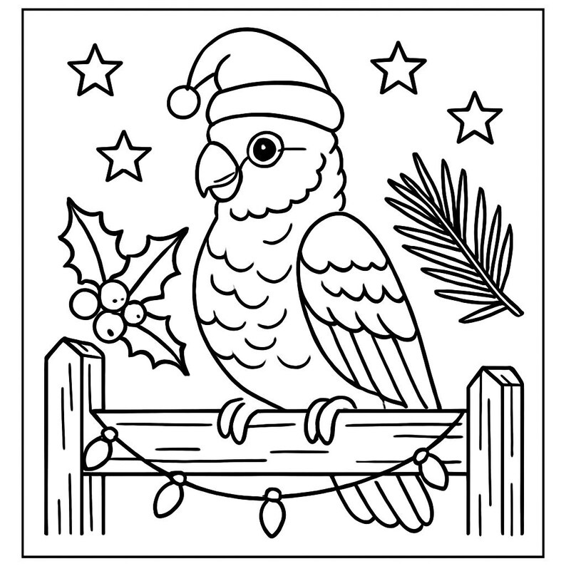 Aussie Christmas Colouring Pages – Galah, Kookaburra, Possum (instant ...