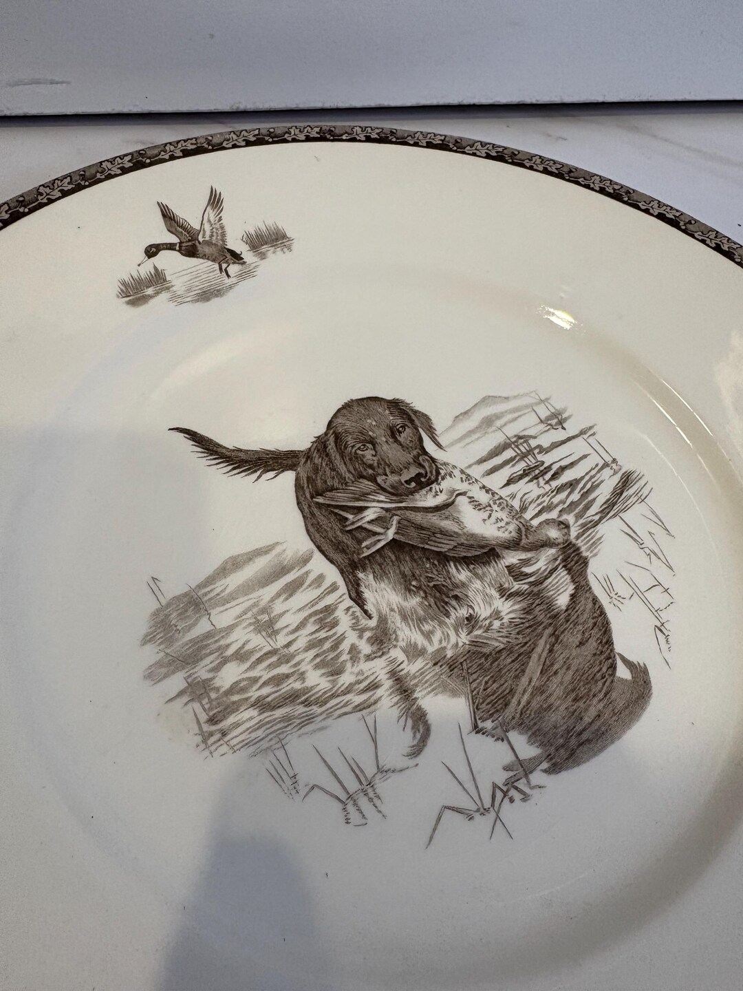RARE Set of 2 Wedgwood "the American Sporting Dog Plates", Etched by ...