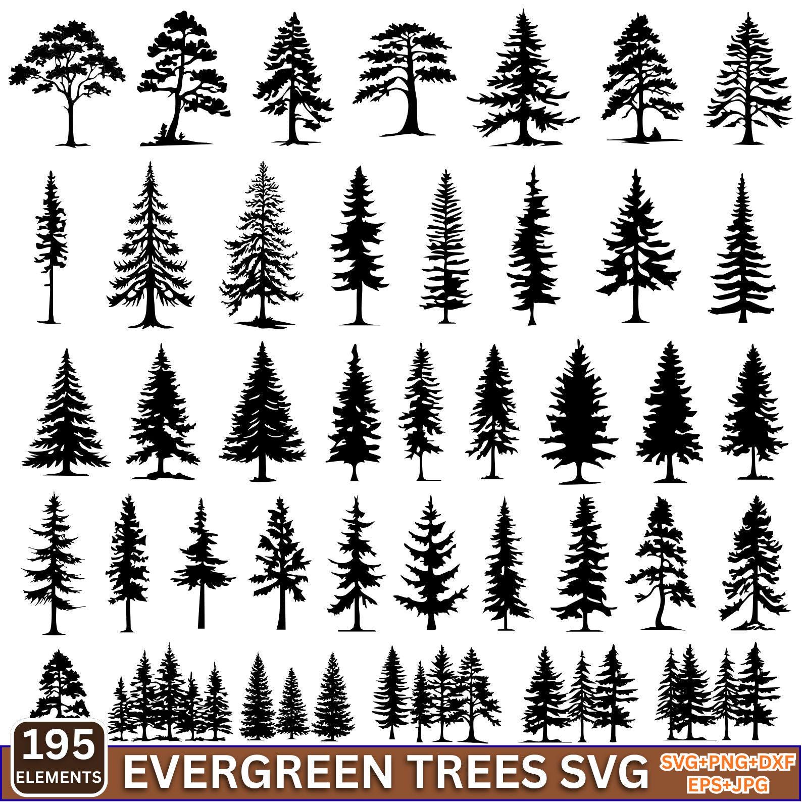 Evergreen Trees Svg / Pine Tree Svg File / Fir Tree Stencil / Forest ...